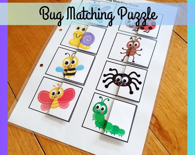 Insect Activity Pack • All About Bugs Activities for Kids • Bug ...