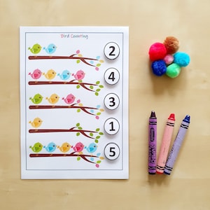 Bird Counting 1-5 Printable, Busy Book, Numbers Maths Homeschool ...