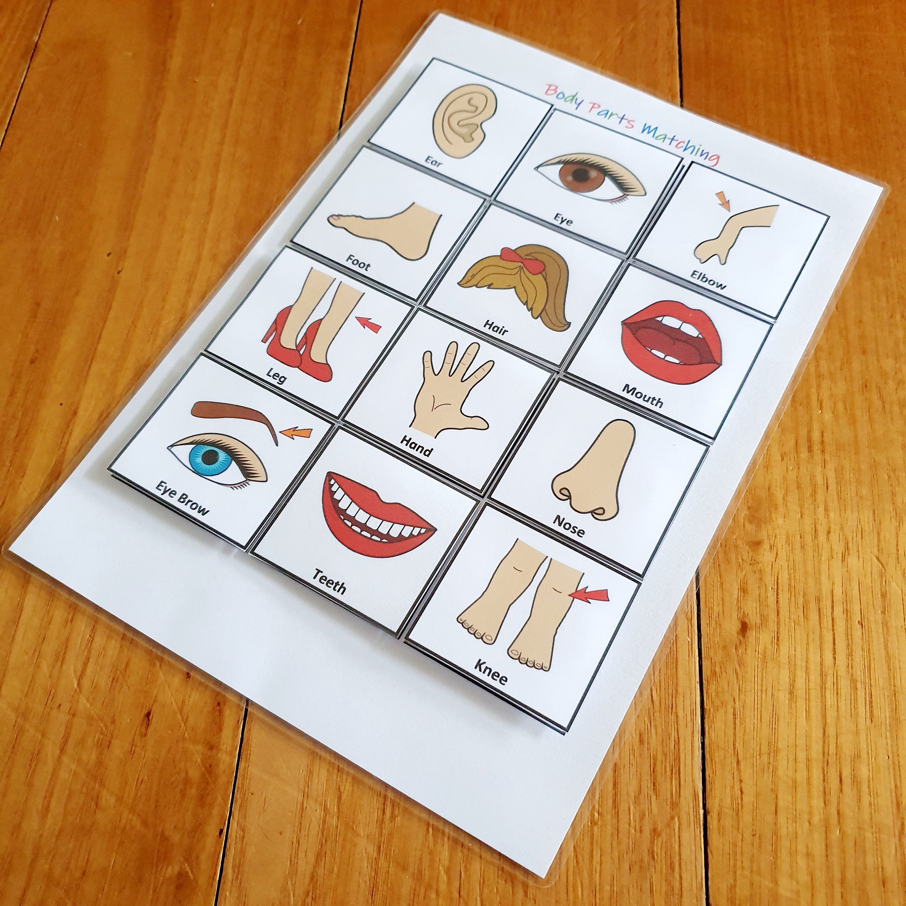 Body Parts Matching Printable Busy Book Page Match the - Etsy