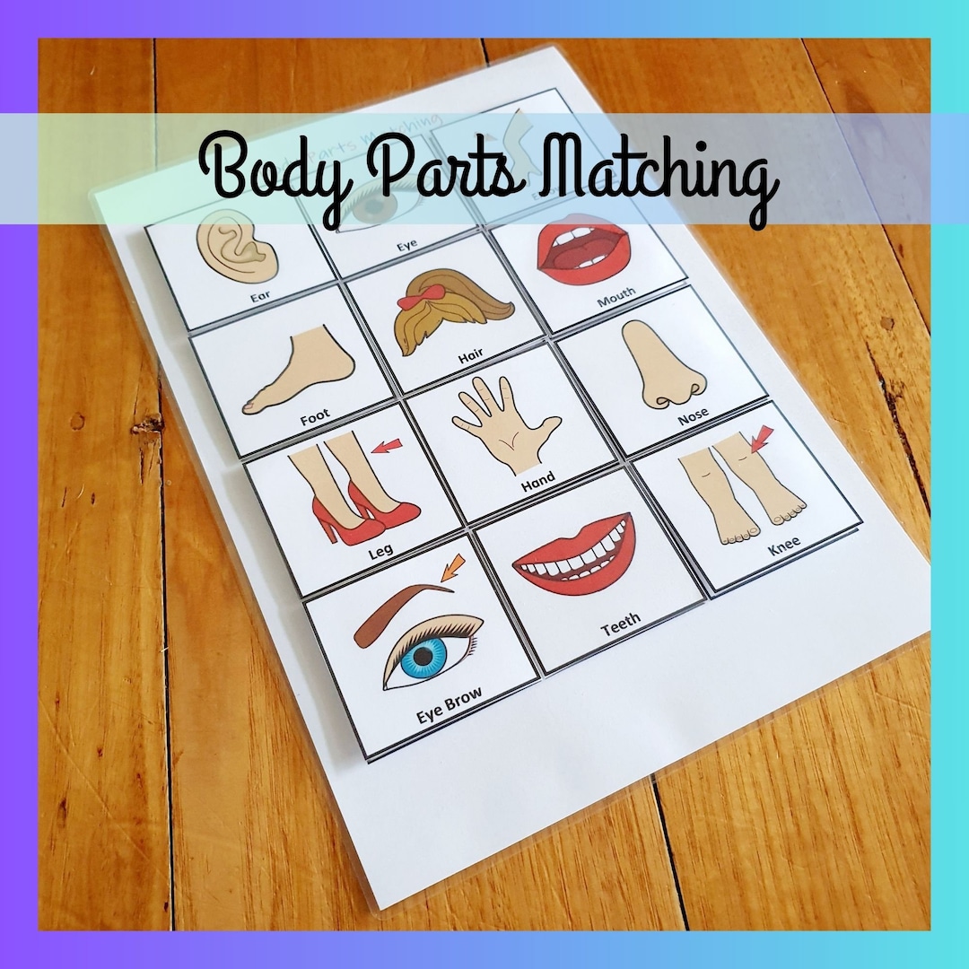 Body Parts Matching Printable, Busy Book, Montessori Homeschool ...