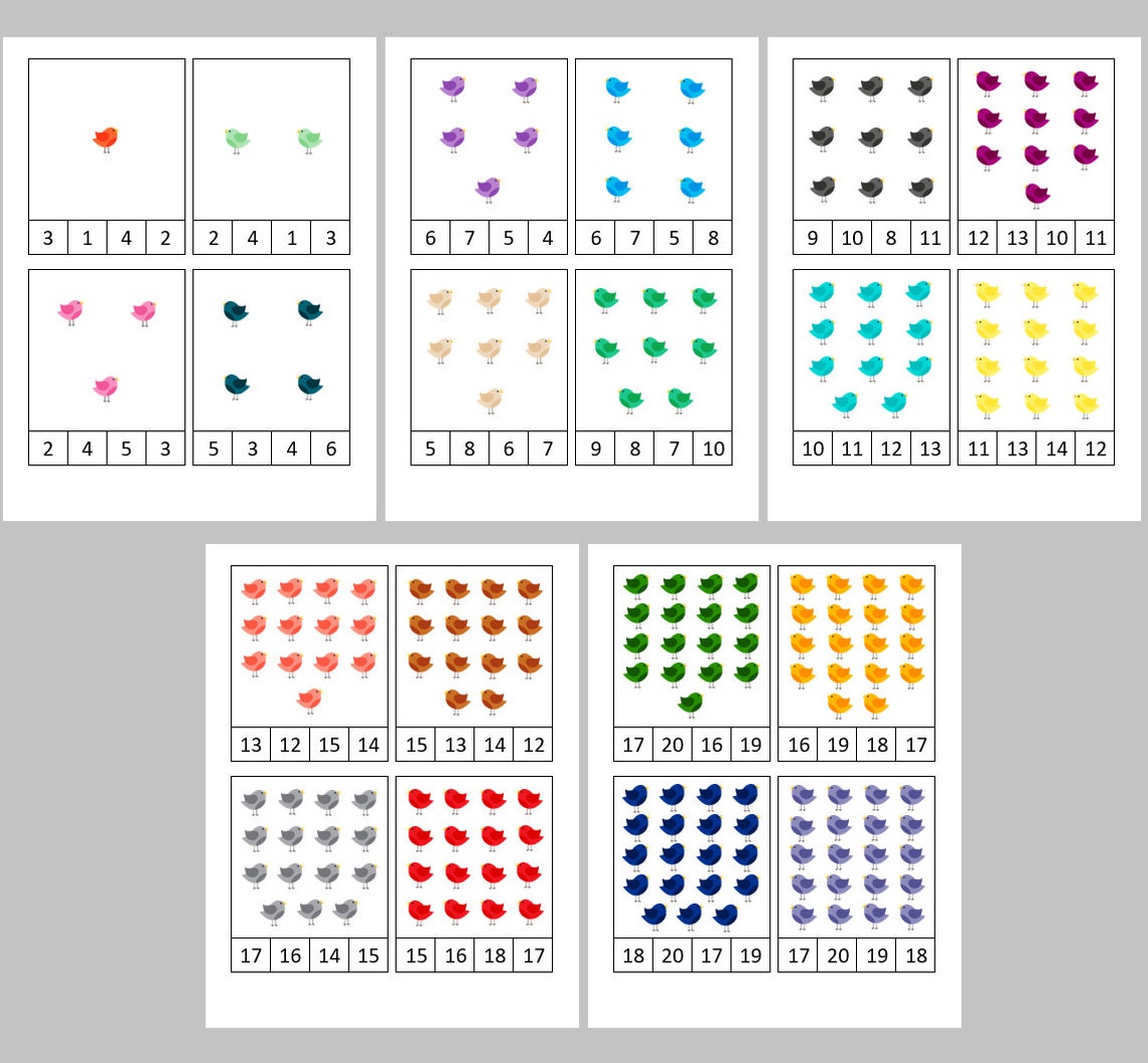 Bird Counting Clip Cards Counting 1 to 20 Numbers Maths - Etsy
