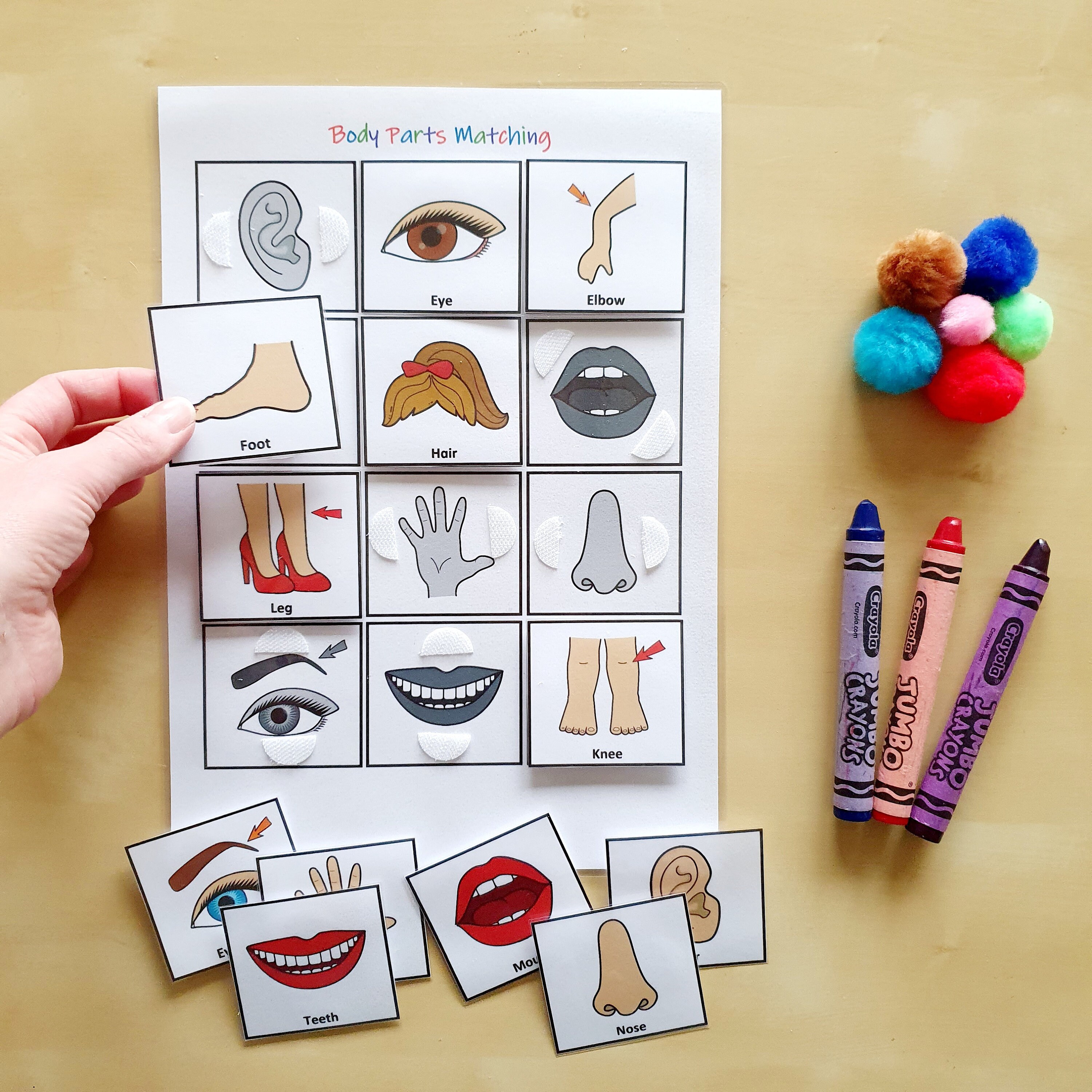 Body Parts Matching Printable Busy Book Page Match the - Etsy