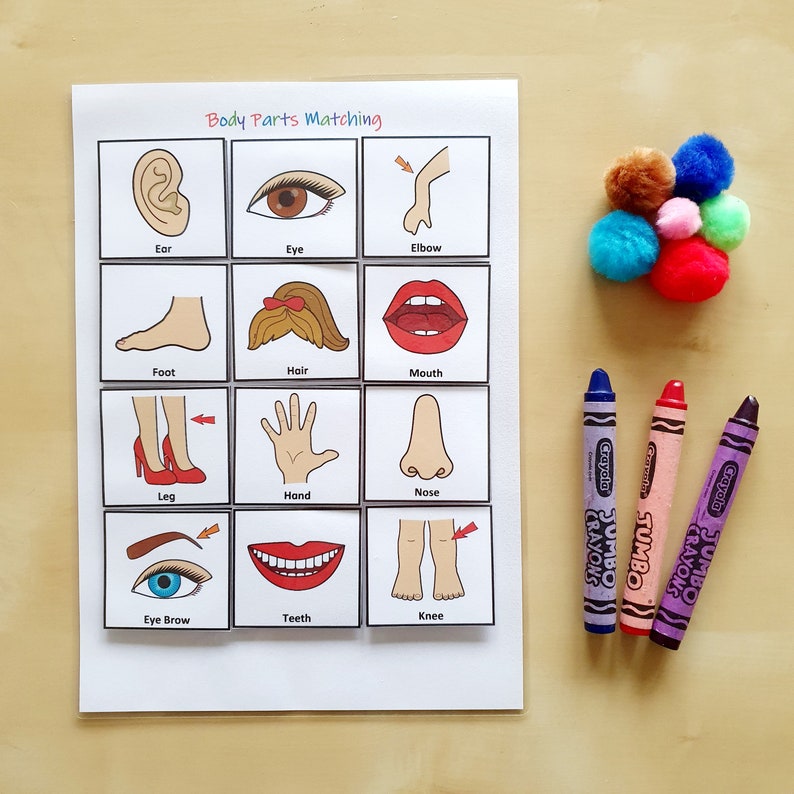 Body Parts Matching Printable Busy Book Page Match the - Etsy