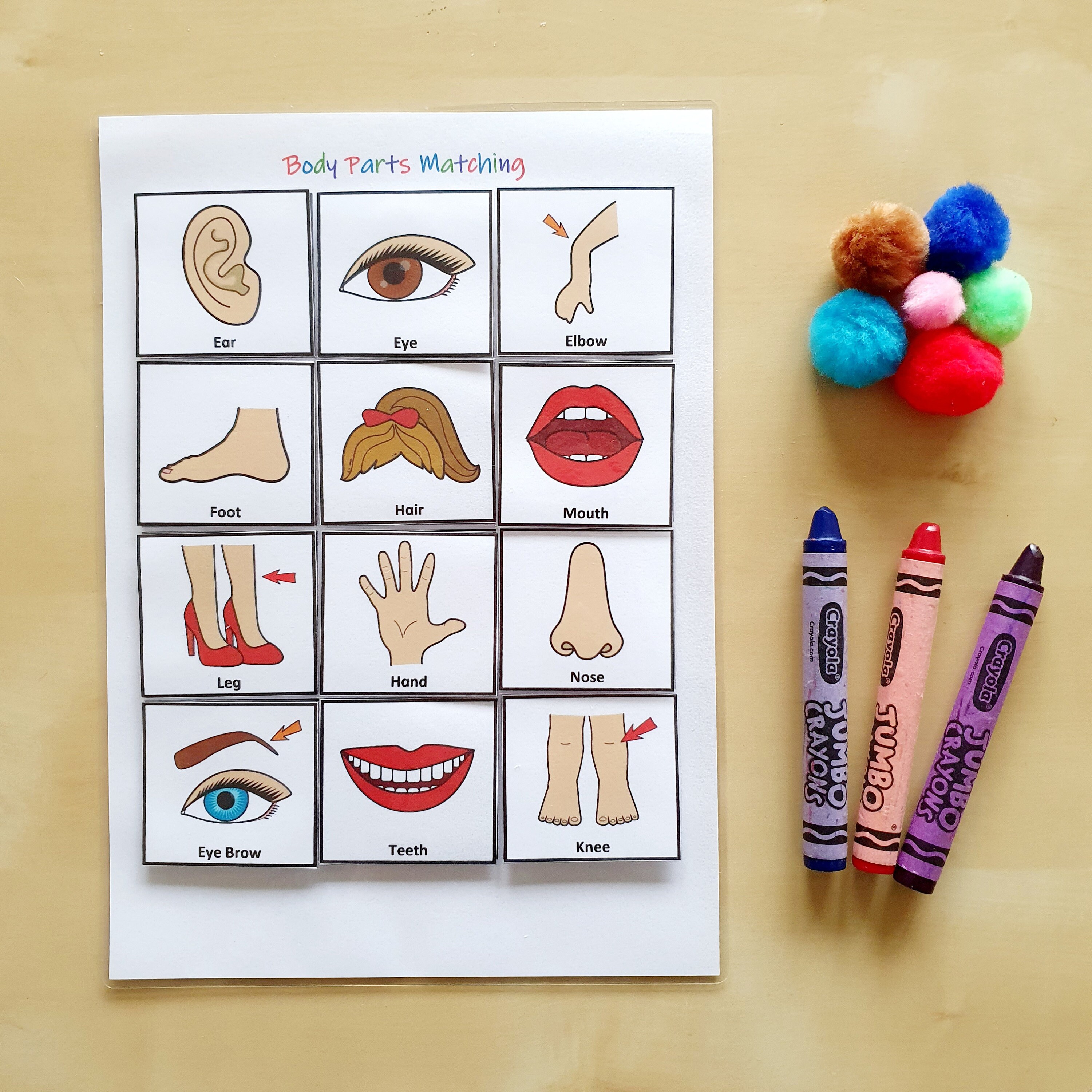 Body Parts Matching Printable: Montessori Homeschool Activity (digital ...