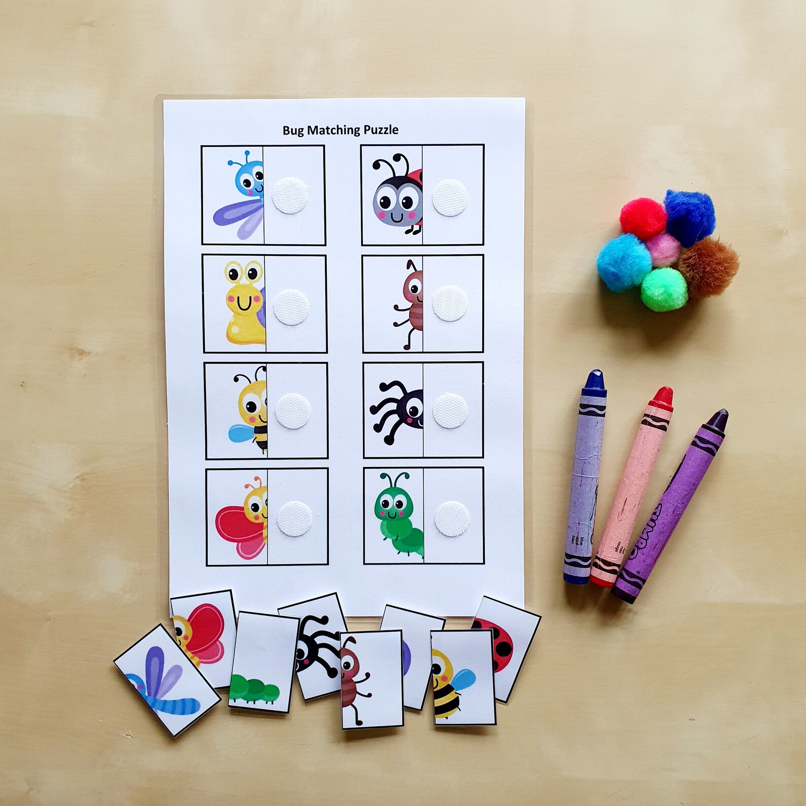 Bug Matching Puzzle, Montessori Homeschool Activity (digital Download ...