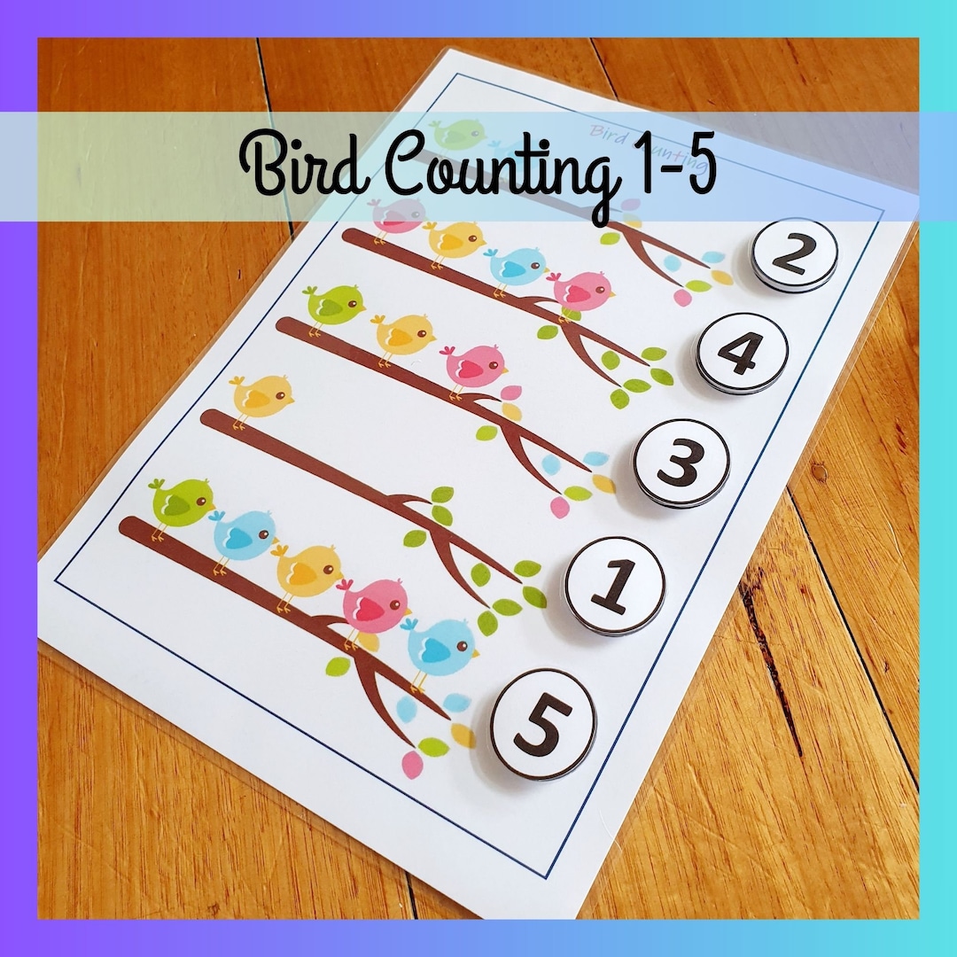 Bird Counting 1-5 Printable, Busy Book, Numbers Maths Homeschool ...