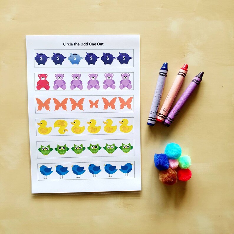Animal Busy Book Bundle, Learn Colours, Matching, Counting, Alphabet ...