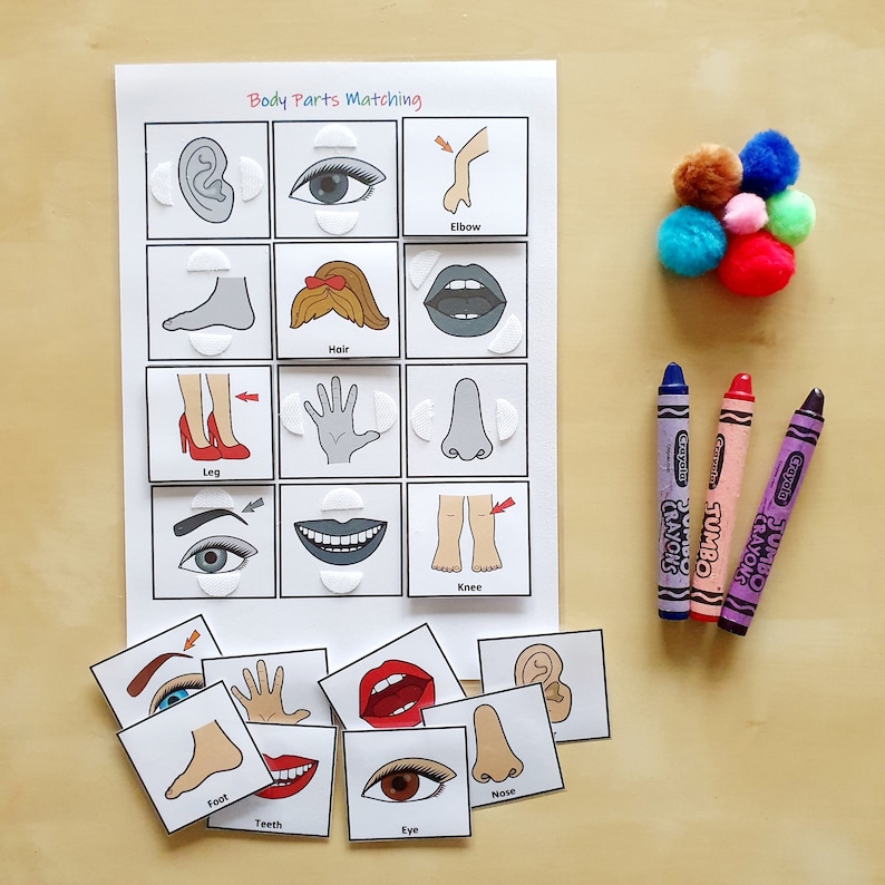 Body Parts Matching Printable Busy Book Page Match the - Etsy