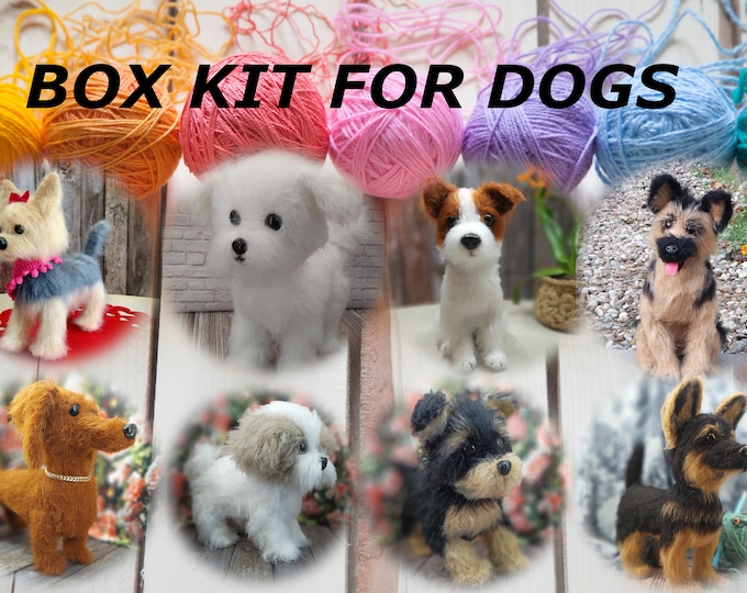 DIY KIT BOX Crochet Dog Amigurumi for My Patterns - Etsy