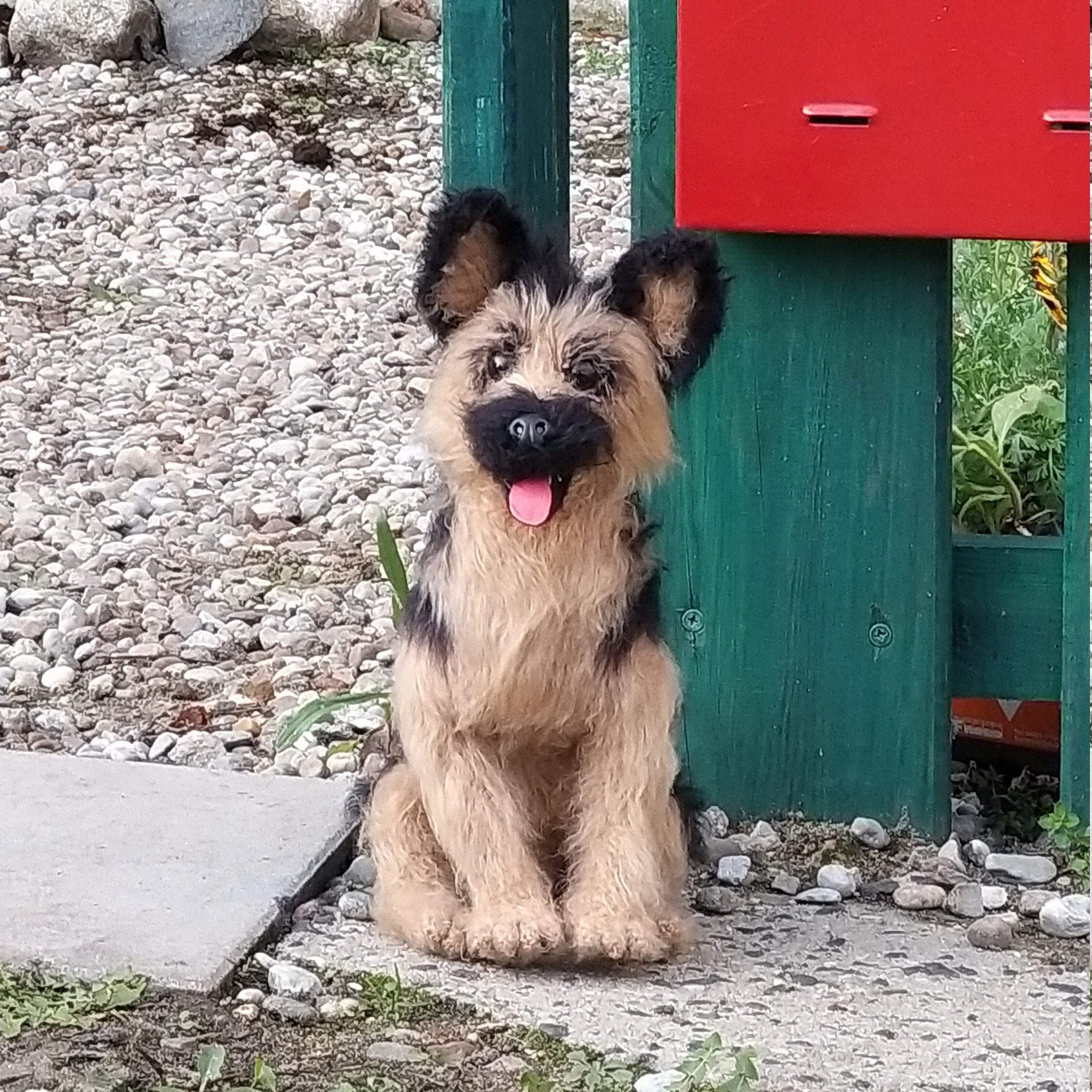 Handmade Dog German Shepherd Personalized Realistic Dog - Etsy