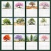 2024 Trees Calendar, Printable A4 and Letter Size, Boxes for Notes ...