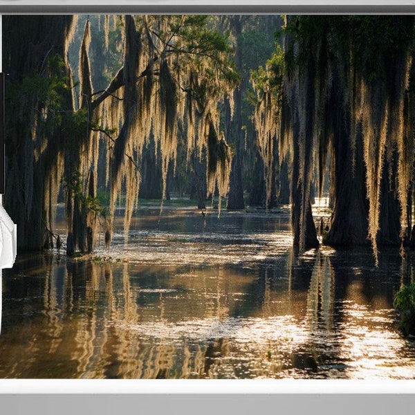 Swamp Backdrop - Etsy