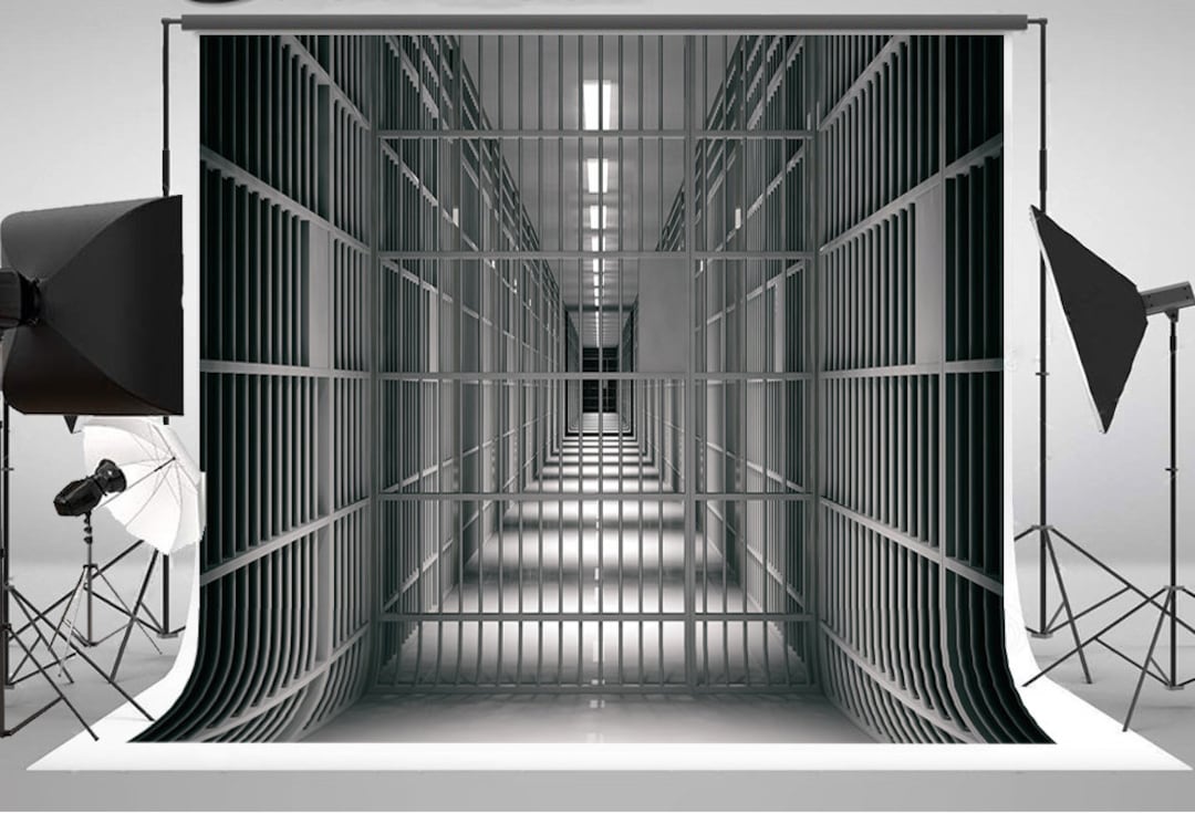 Designgoodshop1 Mugshot Police Lineup Prison Jail Backdrop Crime Party ...