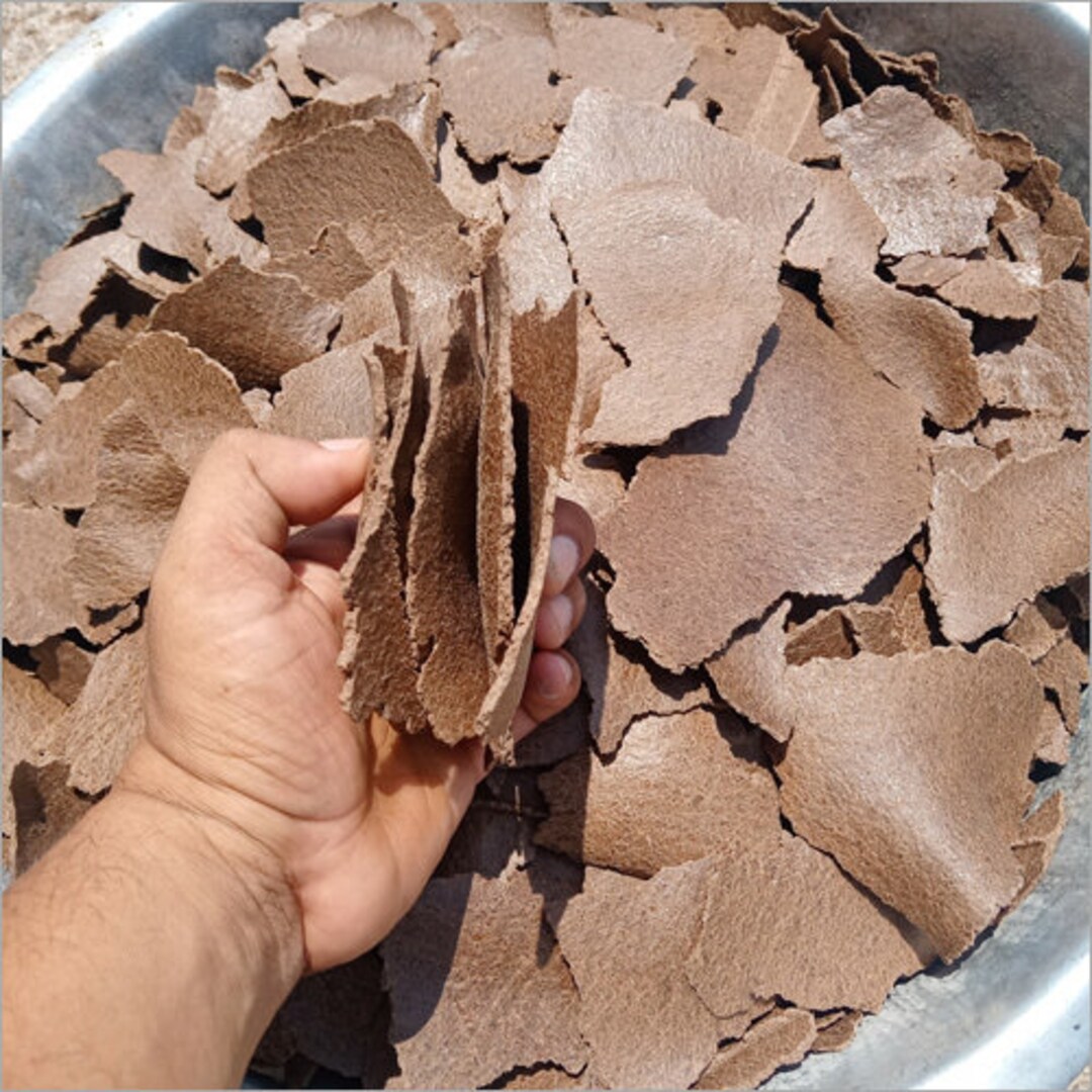 Handmade Organic Nutrient Groundnut Cake Fertilizer for Bonsai and ...