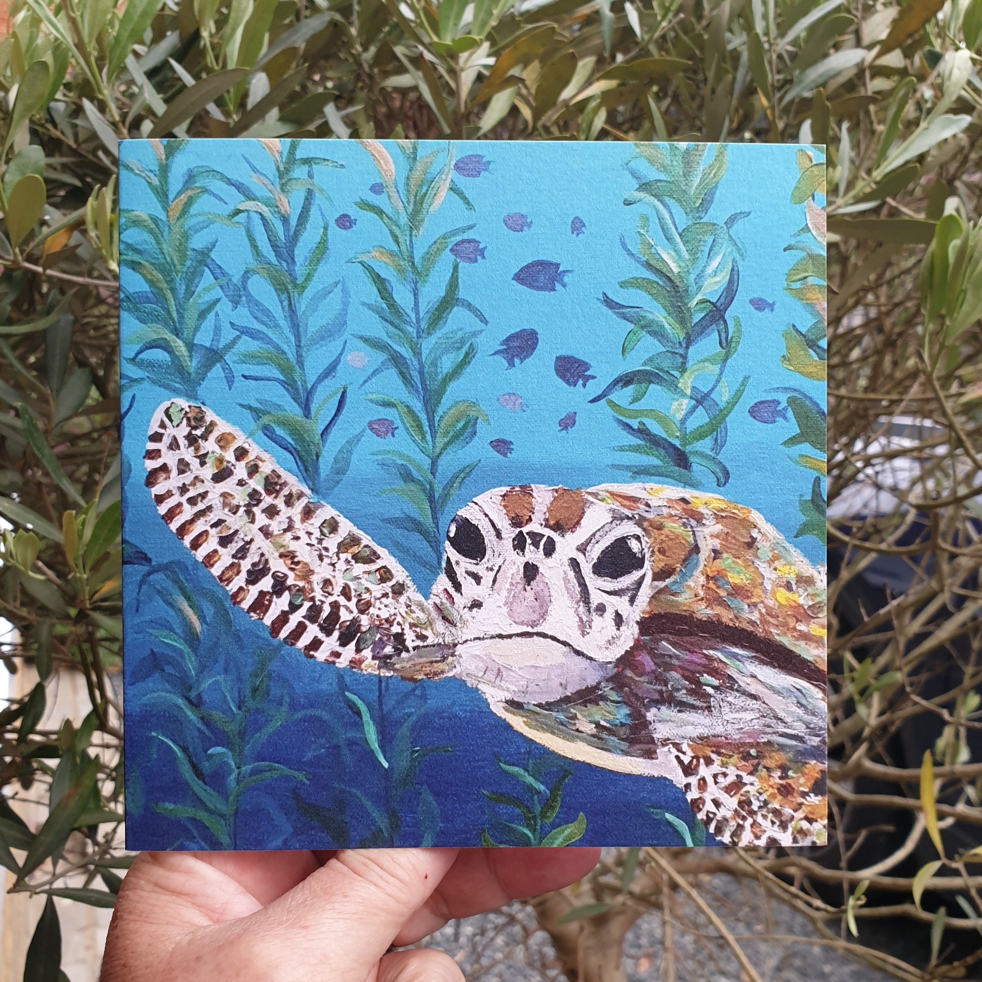 Sea Turtle Birthday Card cute Turtle Card Wife Turtle Card Male Blank ...