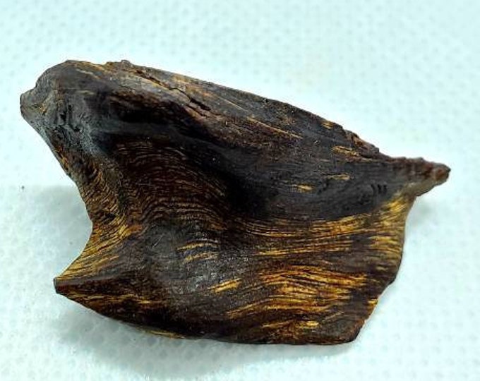 Brunei Black Kynam, Kinam, Kyara Sinking Grade Piece. 2.8 Grams - Etsy