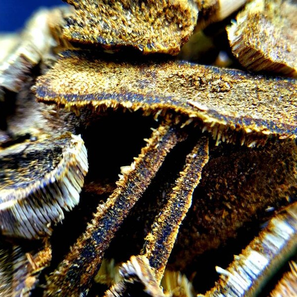 No. 2 Purple Kinam, Kynam, Kyara Agarwood Incense From Hainan. 10 Gm - Etsy