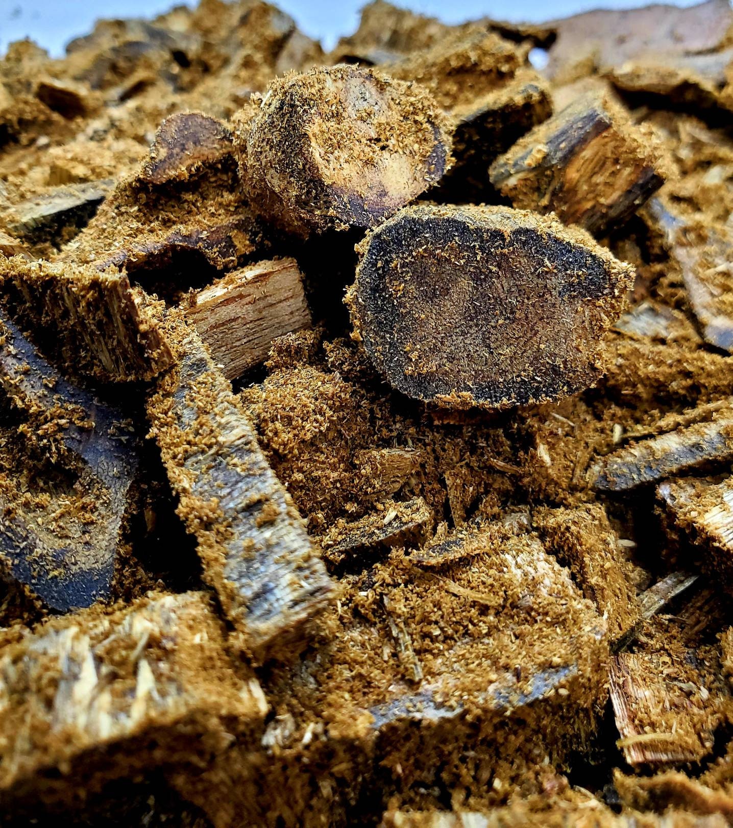 Hainan Green Kynam, Kinam, Kyara Chunks. 90% Sinking. - Etsy