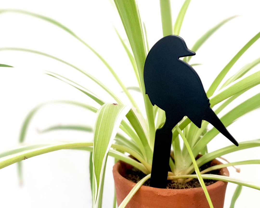 Set of 4 British Bird Plant Markers, Plant Allotment Sign, Garden ...