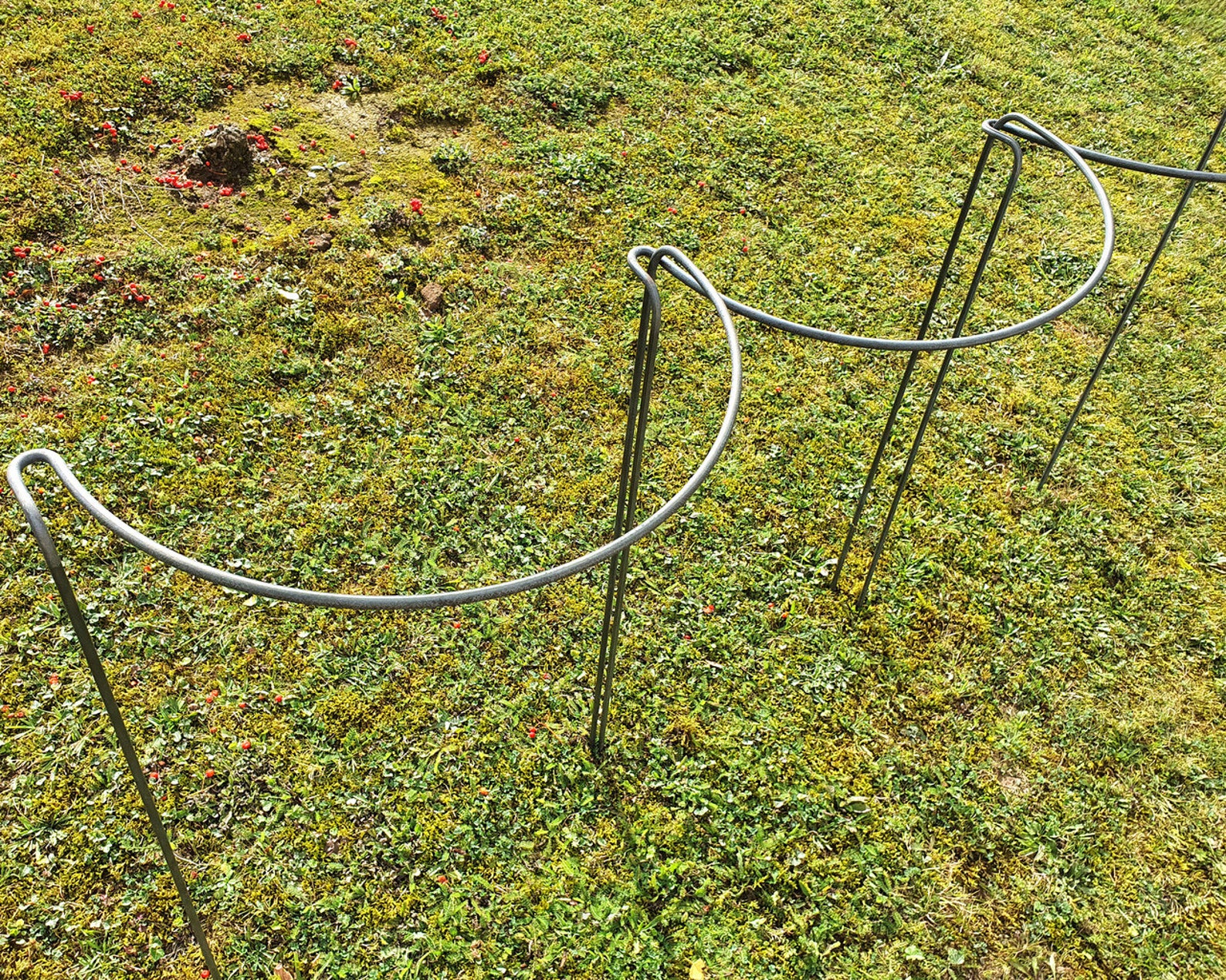 Bow Linking Plant Support- Metal Plant Support Stake, Solid Steel Plant ...