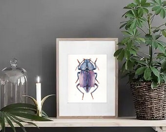Large Bug Print | Etsy