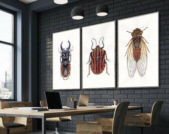 Beetles Set of 3. Watercolor Art Prints. Insects Wall Decor. | Etsy