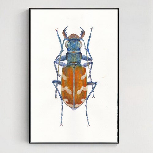 Large Beetle Wall Decor. Watercolor Giclee Print. Bug Art - Etsy