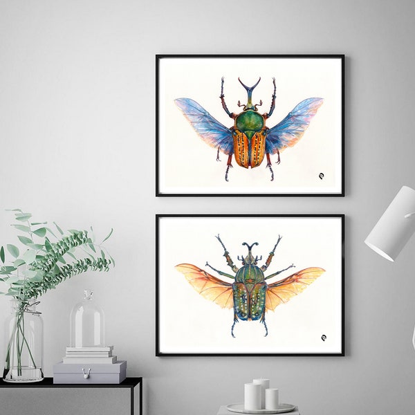 Giant African Flower Beetle - Etsy