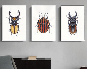 Beetles Set of 3. Watercolor Art Prints. Insects Wall Decor. | Etsy