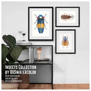 Insect Art Print. Watercolor Beetle. Insect Wall Decor. Insect ...