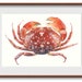 Red Crab Art Print. Watercolor Giclee Print. Sea Life Wall - Etsy