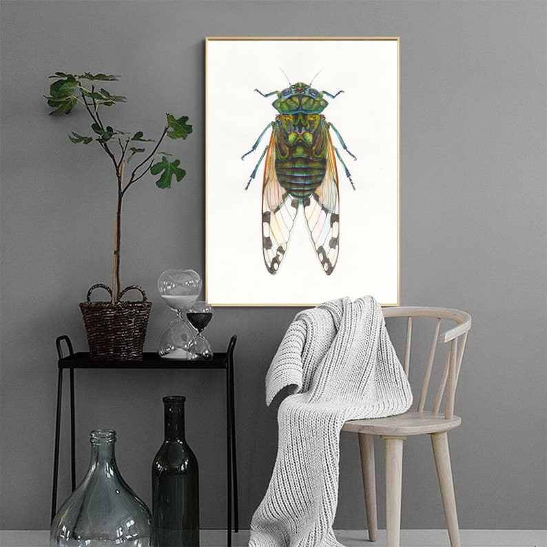 Cicada Art Print. Watercolor Painting Large Insect Wall Decor. | Etsy