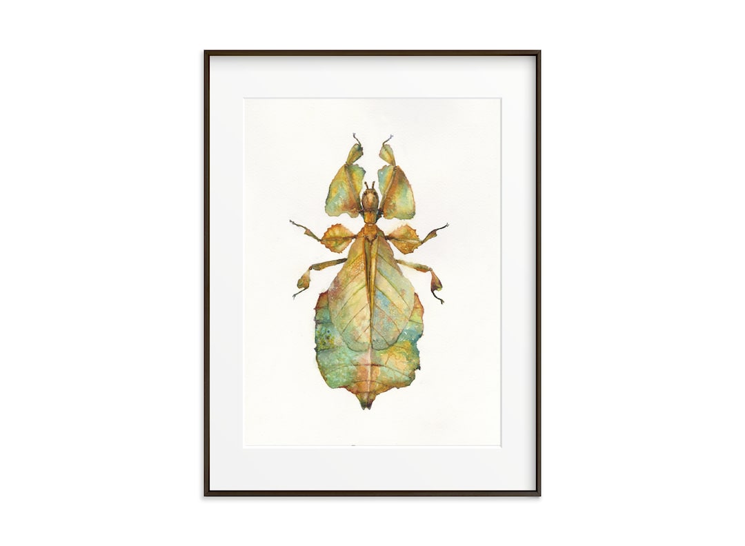 Insect Art Print. Watercolor Bug. Large Insect Wall Decor. Insect ...