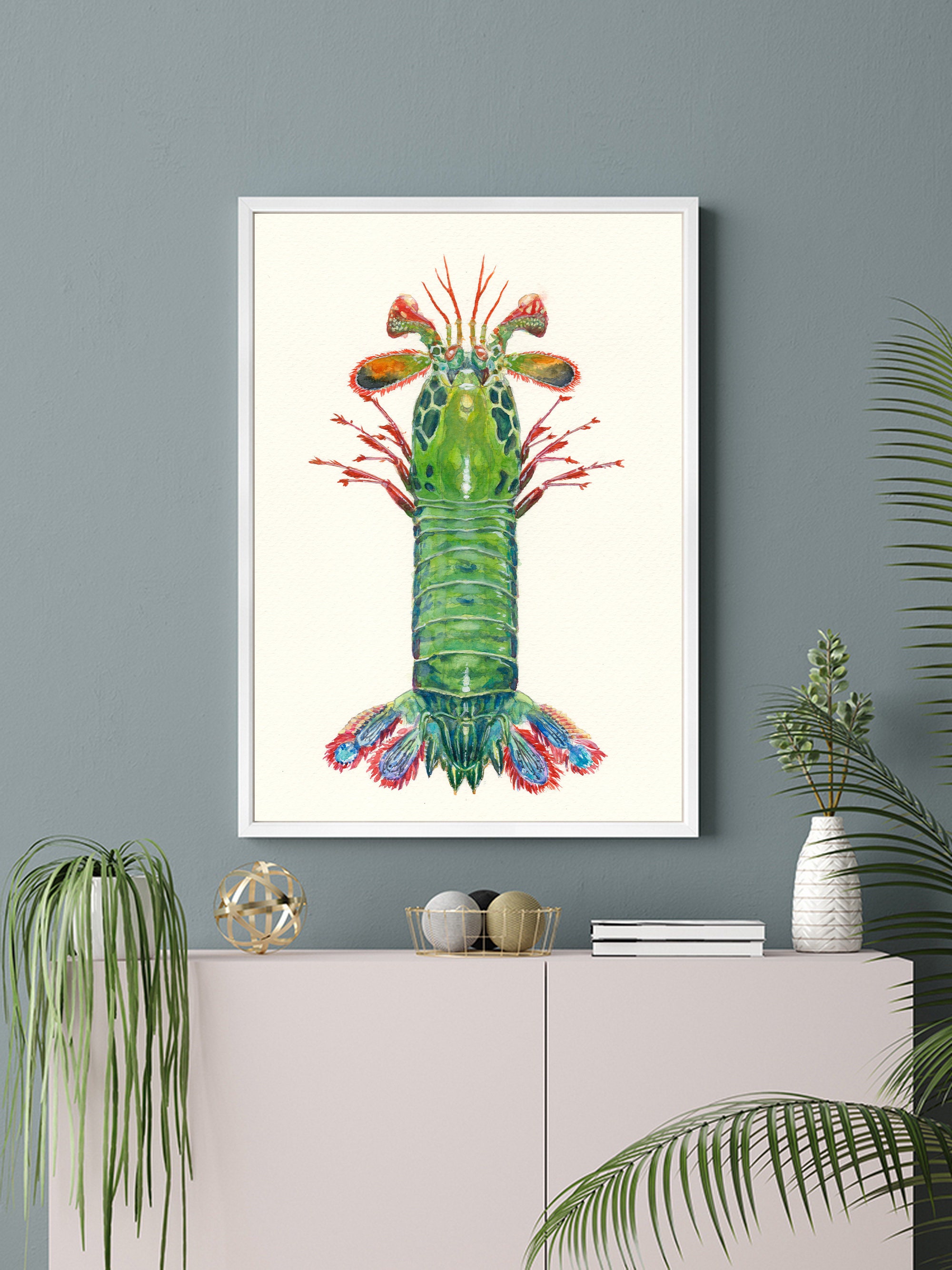 Mantis Shrimp Watercolor Giclee Print: Sea Life Wall Art - Etsy