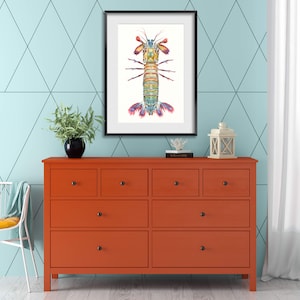 Mantis Shrimp Wall Art. Watercolor Giclee Print. Sea Life Wall | Etsy