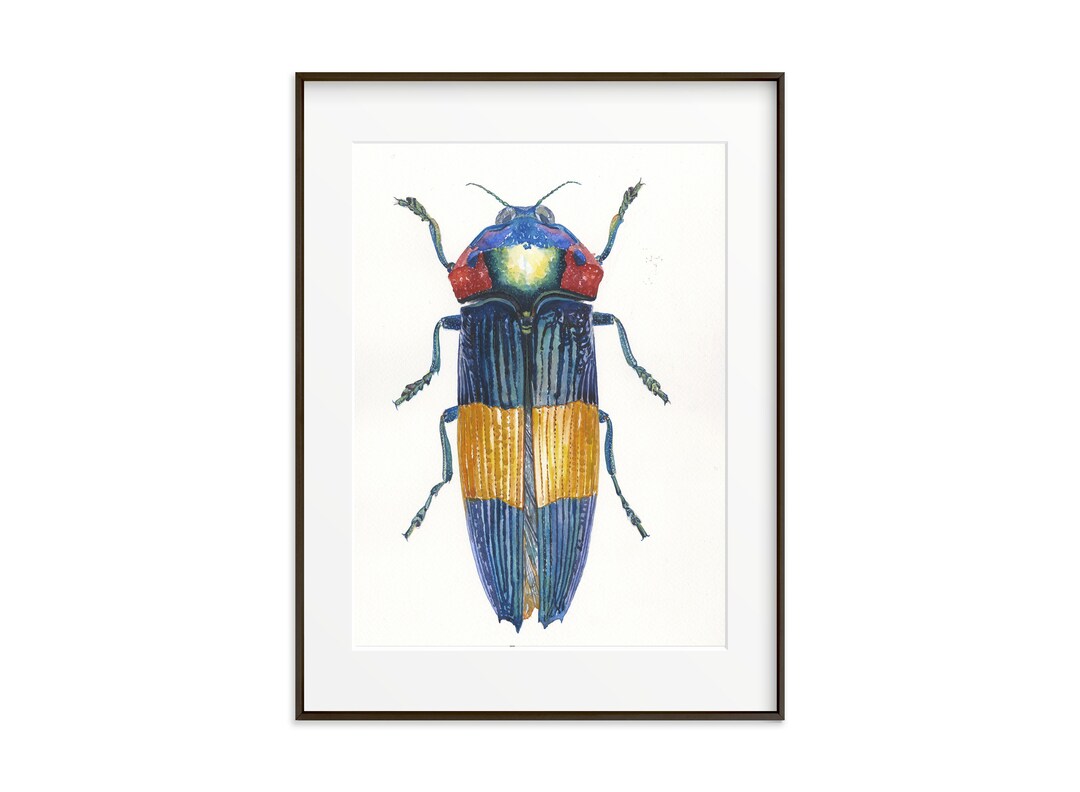 Insect Art Print. Watercolor Beetle. Insect Wall Decor. Insect ...