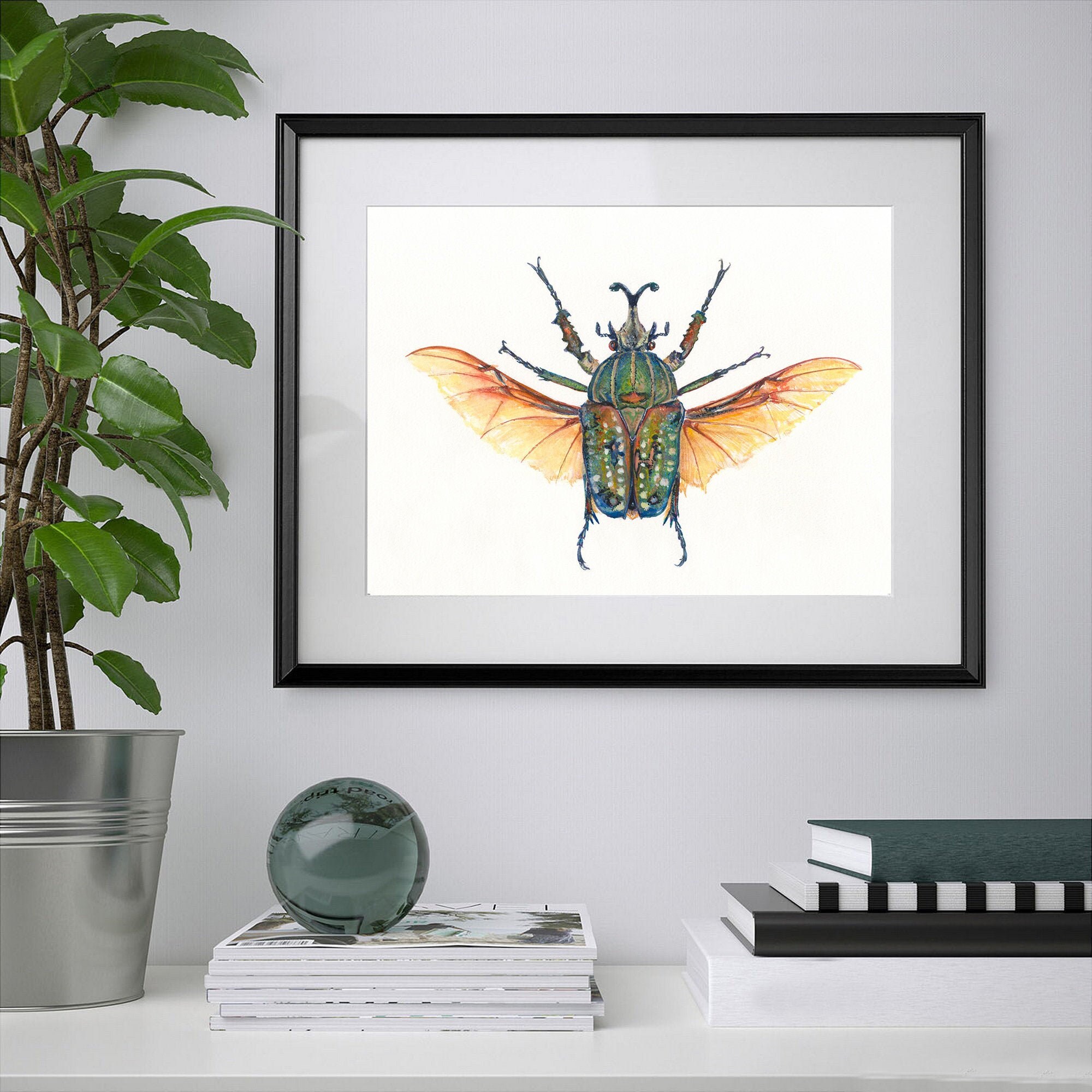 Beetles Art Print. Giant African Flower Beetle Watercolor by - Etsy