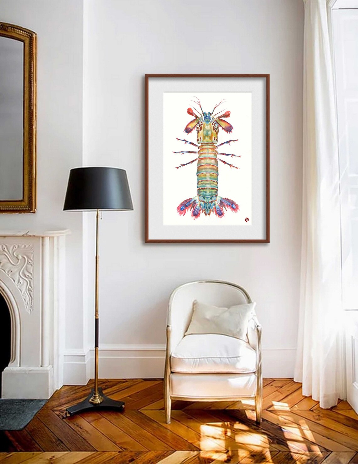 Mantis Shrimp Wall Art. Watercolor Giclee Print. Sea Life Wall | Etsy
