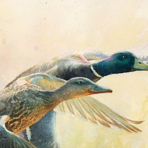Wild Ducks Watercolor Original Painting. Wild Ducks Gift, Wild Ducks ...