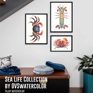 Crab Art Print. Watercolor Giclee Print. Sea Life Wall Decor. Nautical ...