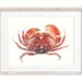Red Crab Art Print. Watercolor Giclee Print. Sea Life Wall - Etsy