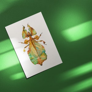 Insect Art Print. Watercolor Bug. Large Insect Wall Decor. | Etsy