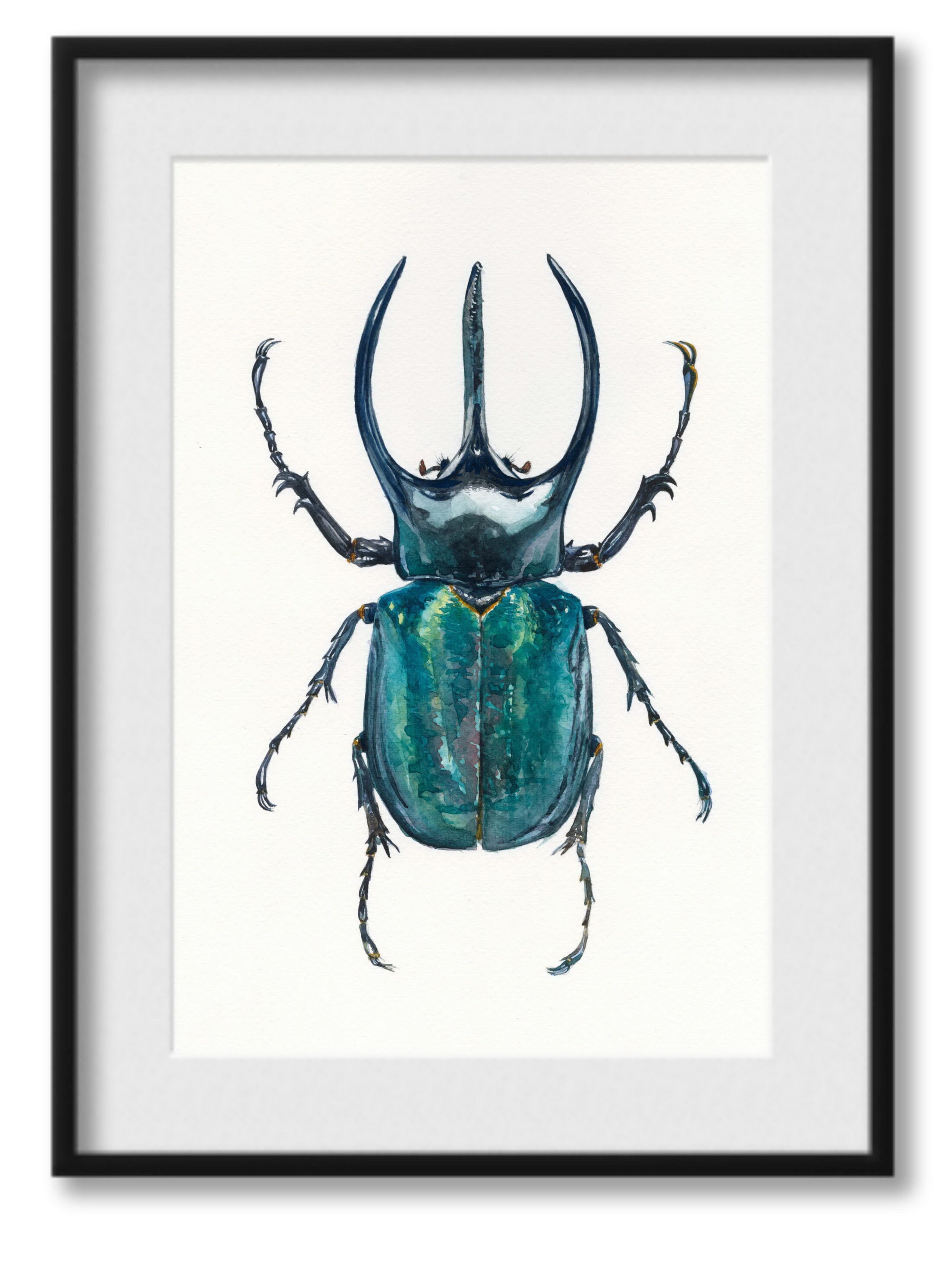 Large Beetle Wall Decor. Watercolor Giclee Print. Bug art | Etsy