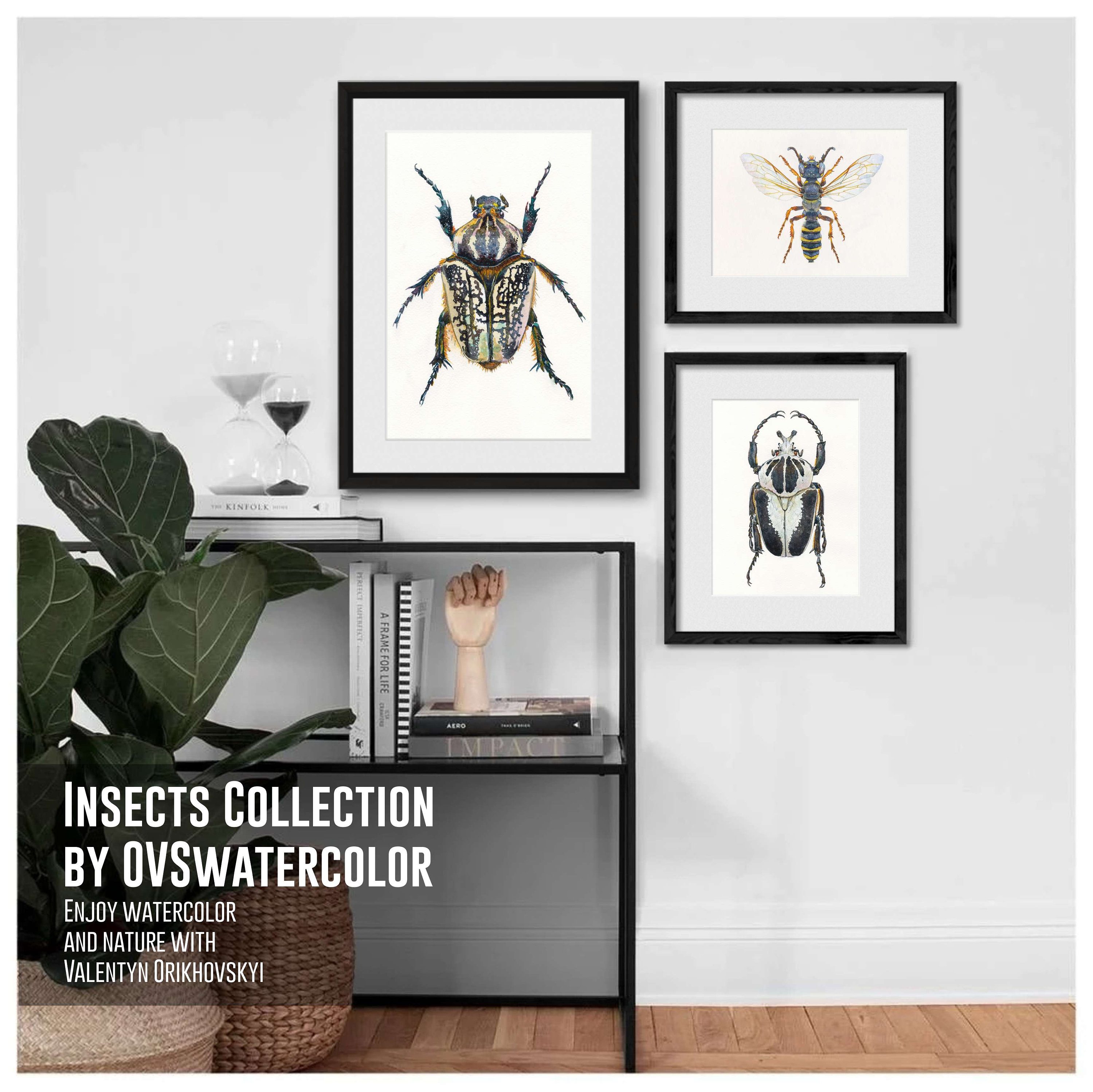 Large Beetle Wall Decor. Watercolor Giclee Print. Bug art | Etsy