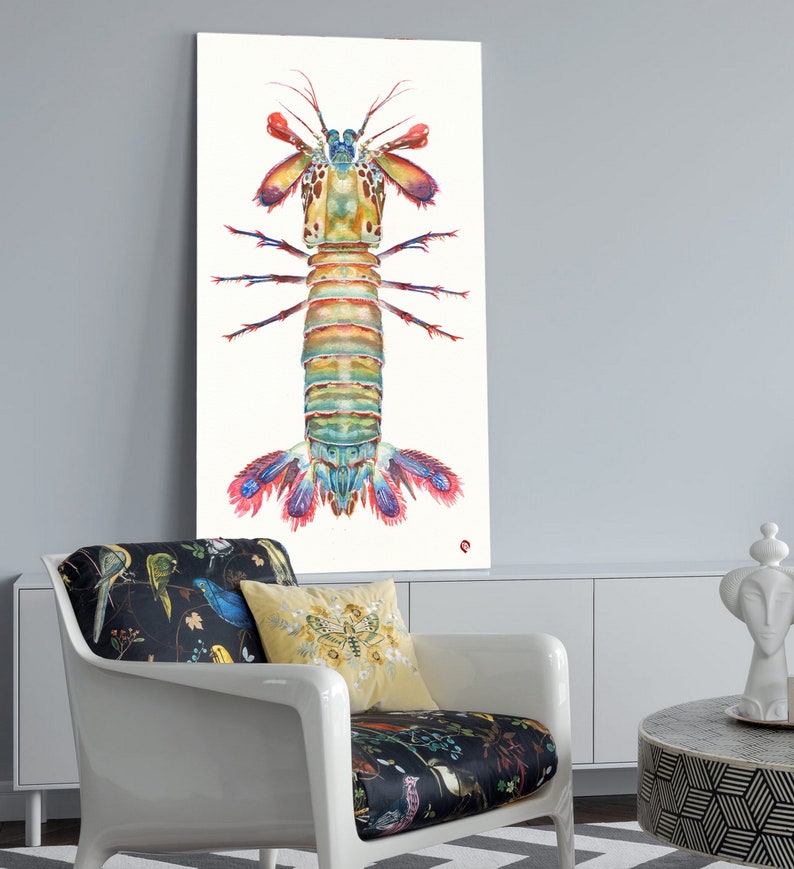 Mantis Shrimp Wall Art. Watercolor Giclee Print. Sea Life Wall | Etsy