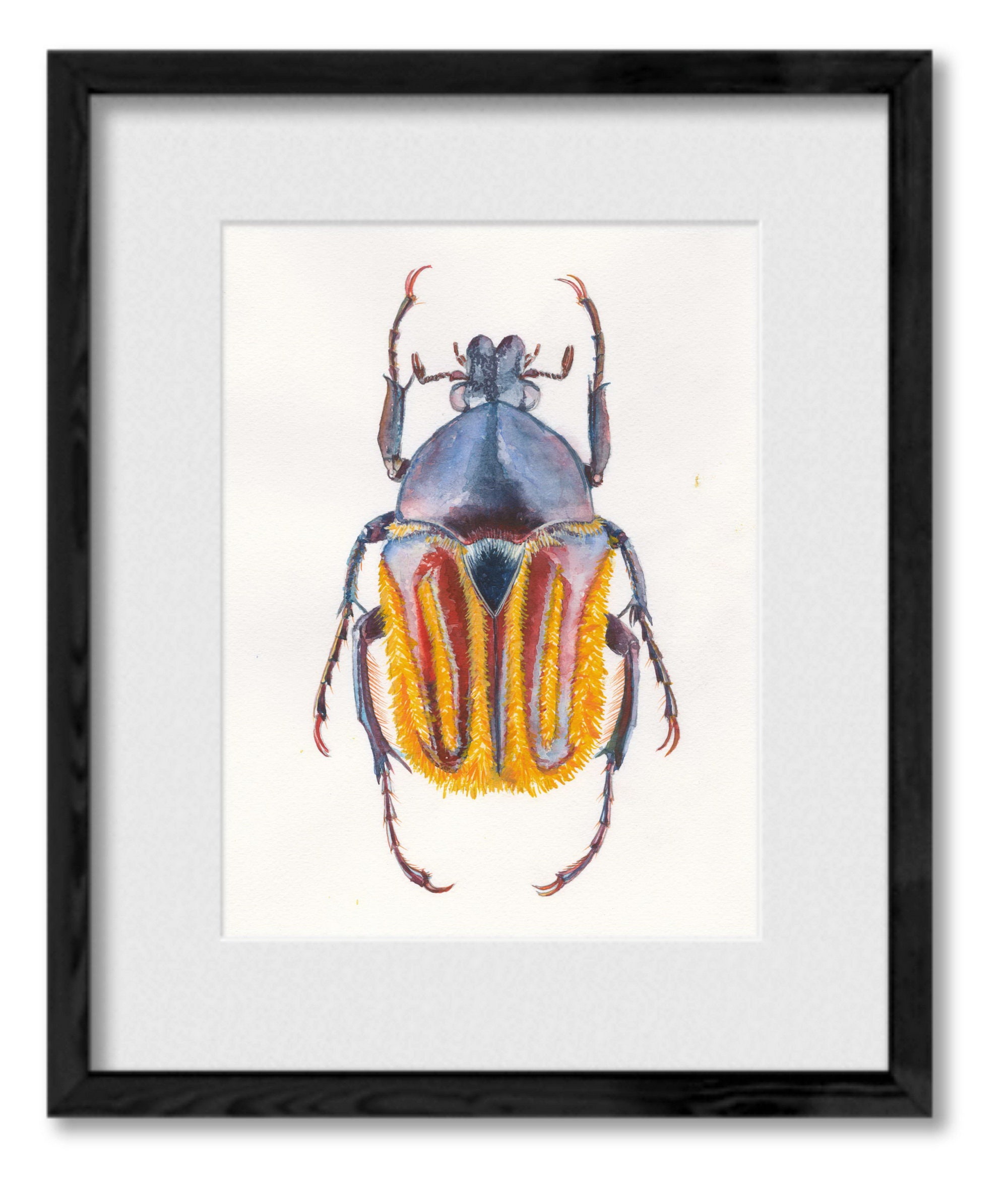 Beetle Wall Decor. Watercolor Giclee Print. Bug Art Print. | Etsy