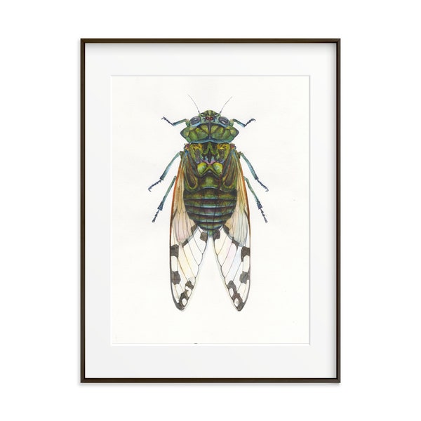 Insect Wall Art - Etsy