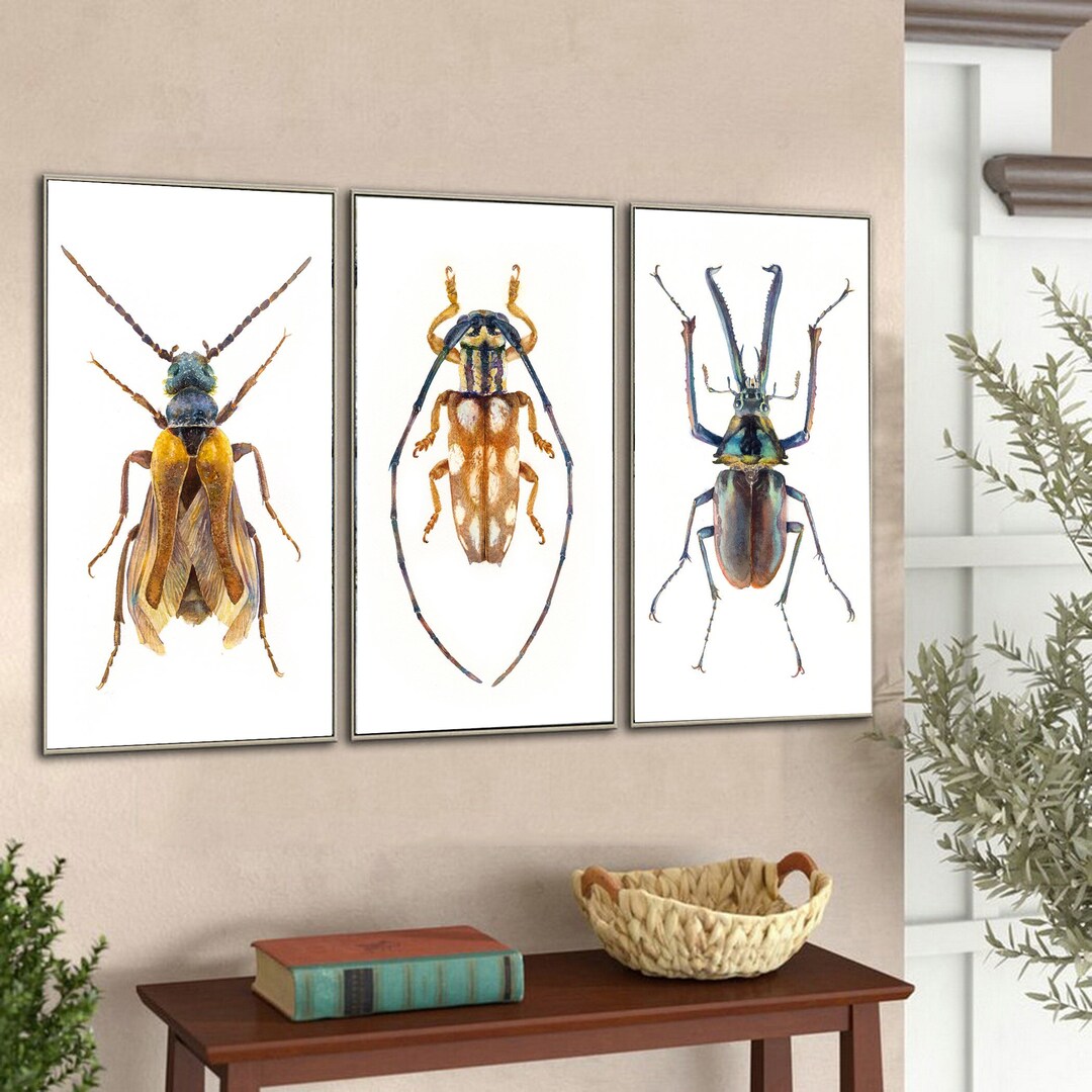 Beetles Set of 3. Prints From an Original Watercolor Painting. Insects ...
