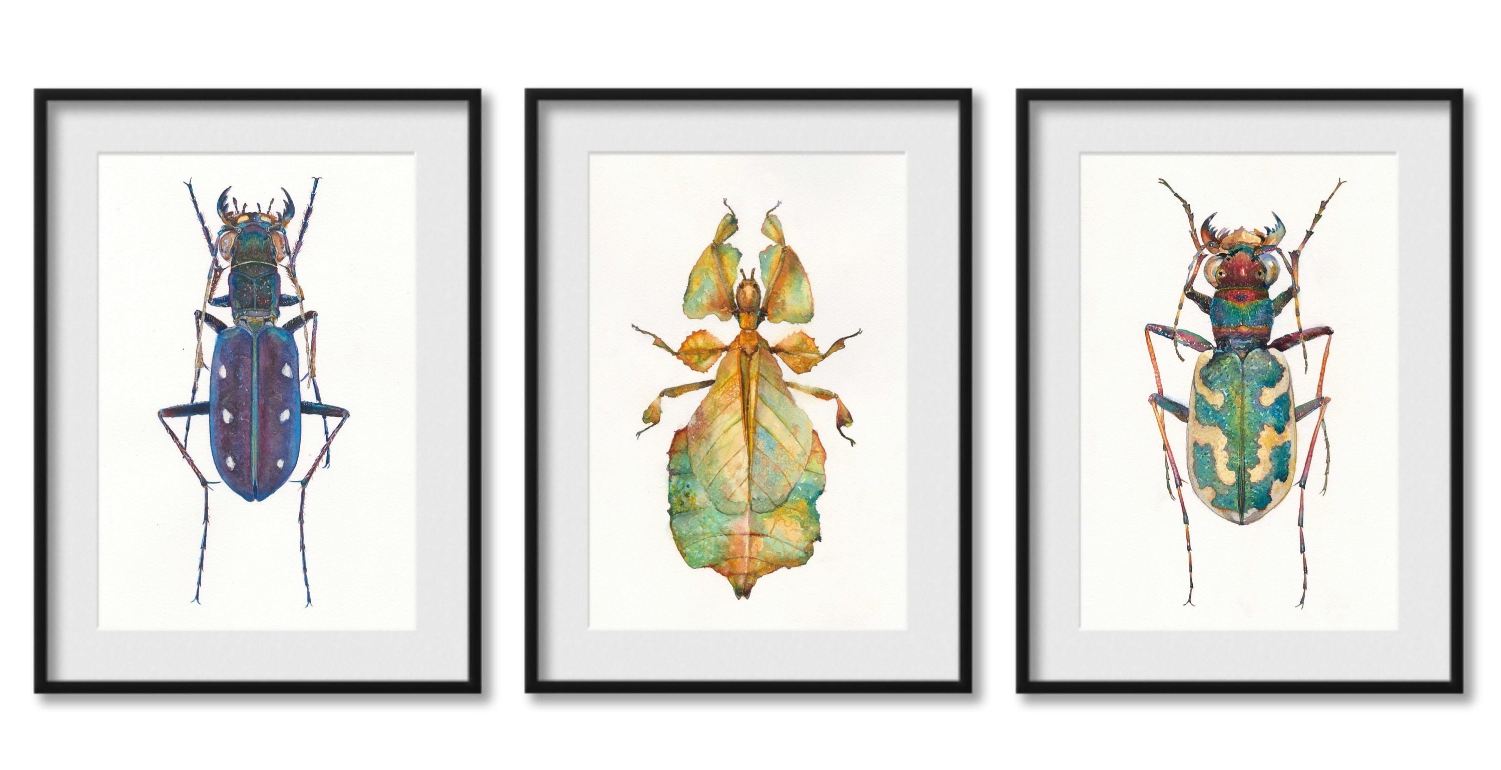 Beetles Set of 3. Watercolor Art Prints. Insects Wall Decor. | Etsy