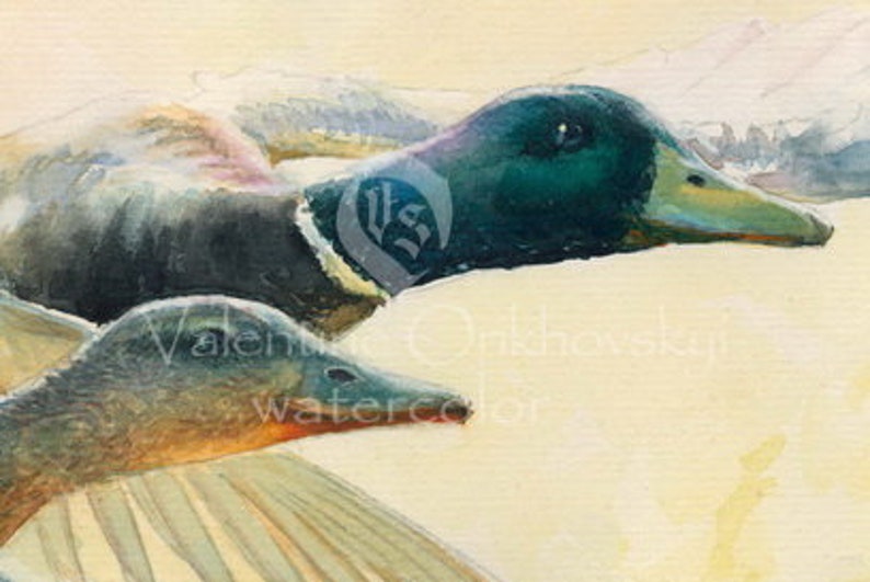 Wild Ducks Watercolor Original Painting. Wild Ducks Gift Wild - Etsy